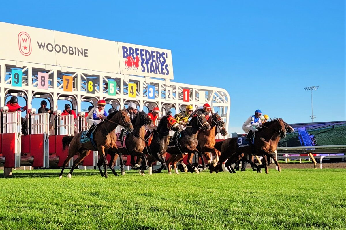 Racetracks in Canada - Jockeys Canada