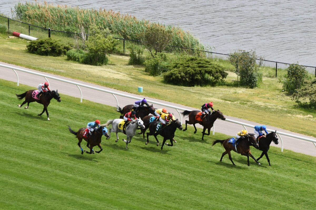 Woodbine Racetrack in Toronto, Canada - Jockeys Canada