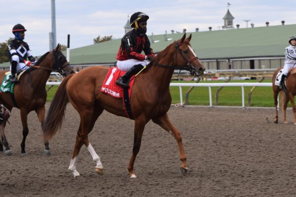 Christopher Husbands - Jockeys Canada