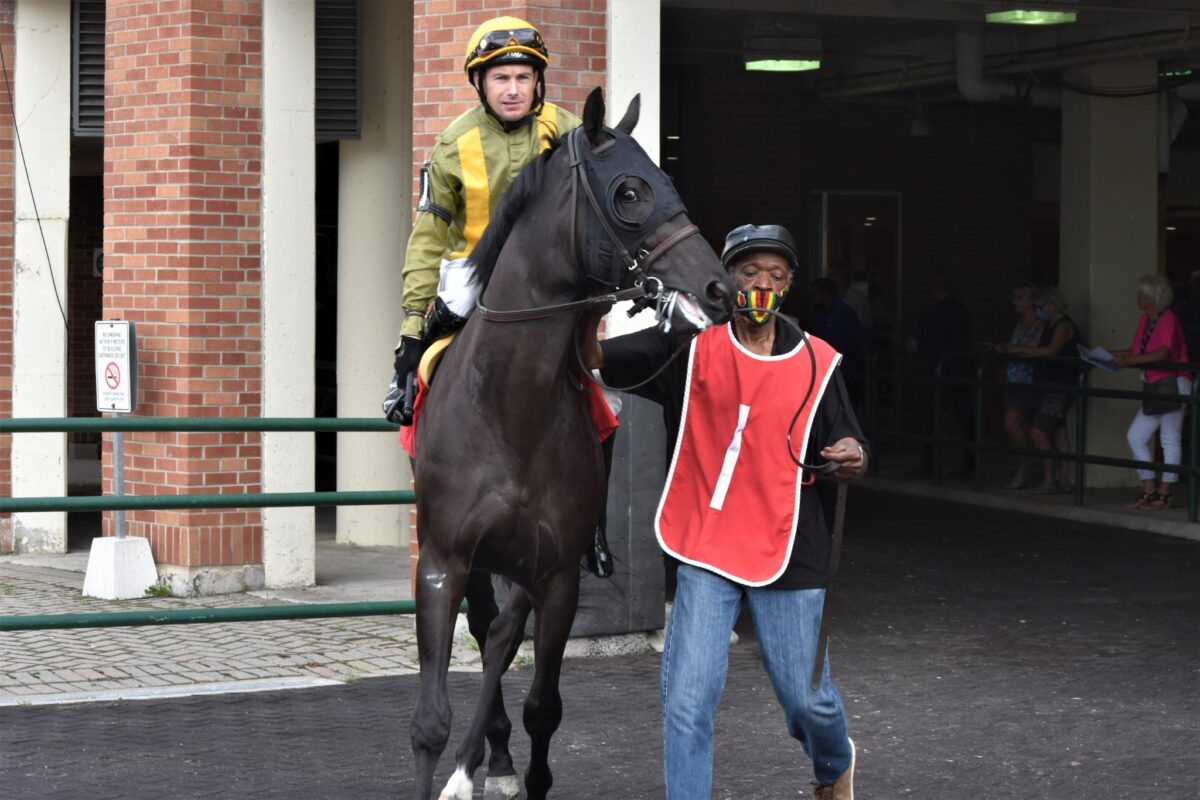 David Moran - Jockeys Canada