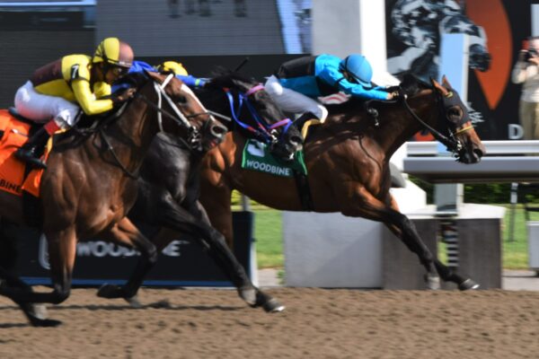 Century Downs Racetrack in Alberta, Canada - Jockeys Canada