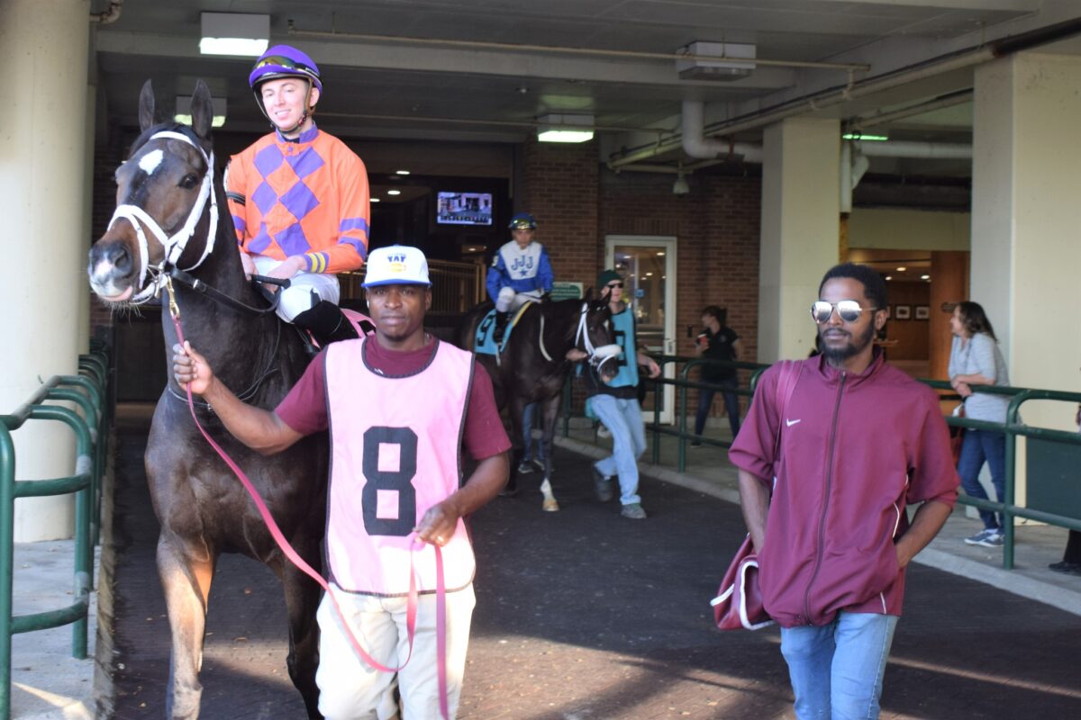 Declan Carroll - Jockeys Canada