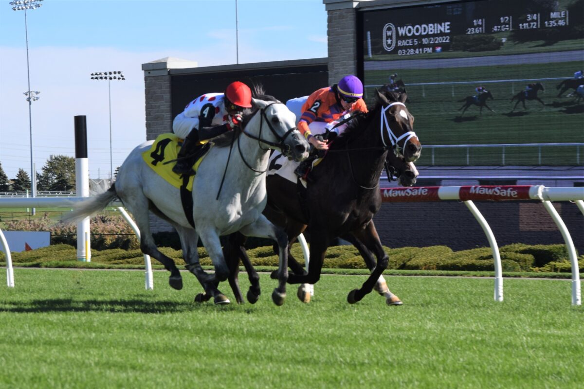 Declan Carroll - Jockeys Canada