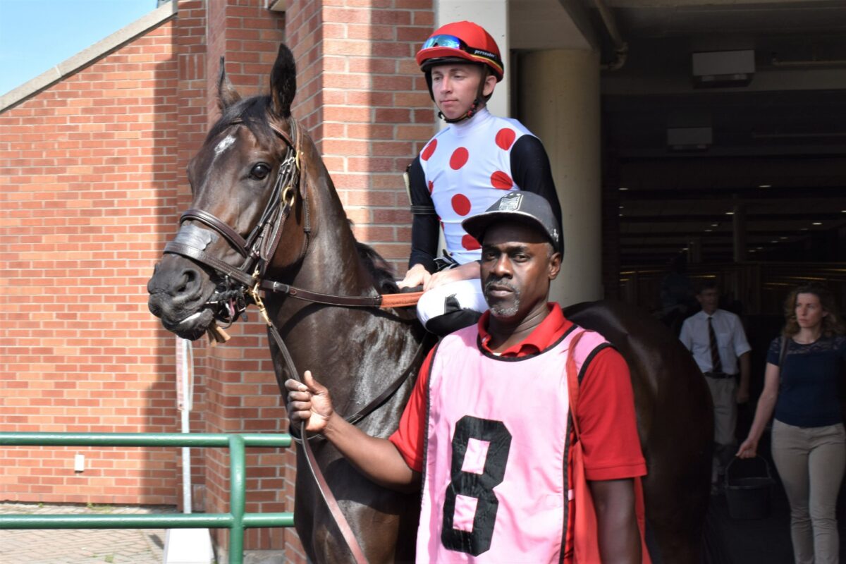 Declan Carroll - Jockeys Canada