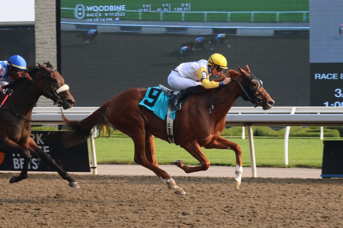 Emma-Jayne Wilson - Jockeys Canada