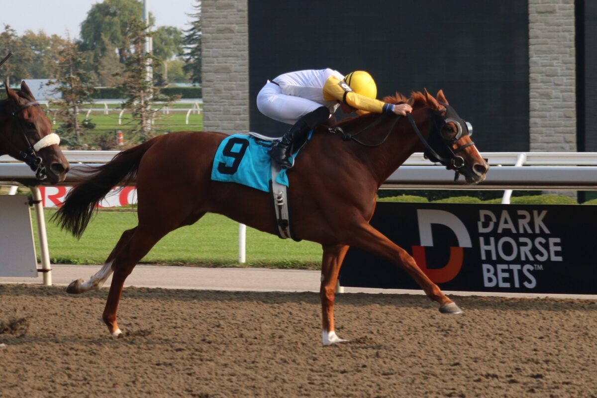 Emma-Jayne Wilson - Jockeys Canada