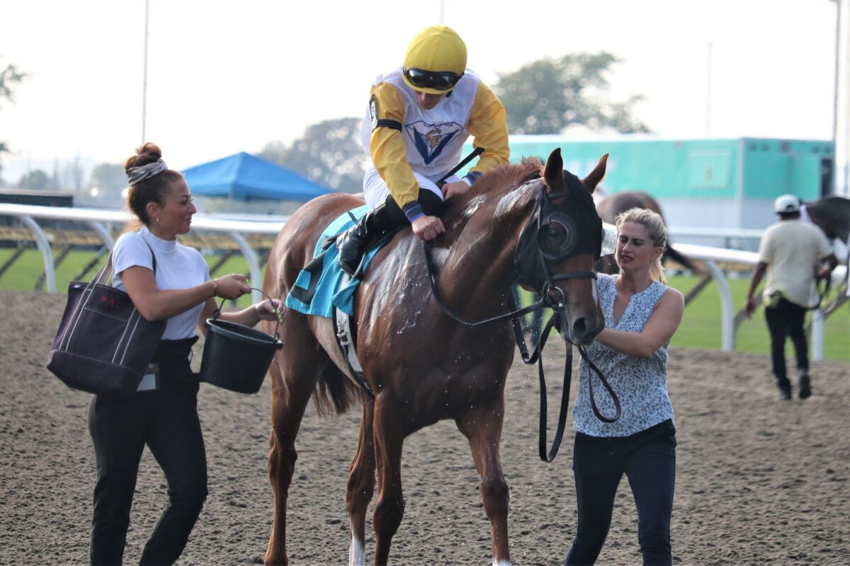 Emma-Jayne Wilson - Jockeys Canada