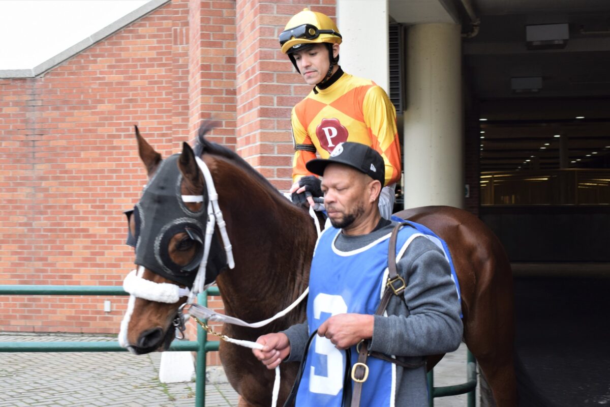 Eswan Flores - Jockeys Canada