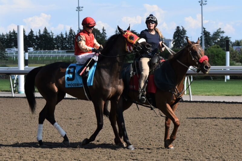 Justin Stein - Jockeys Canada