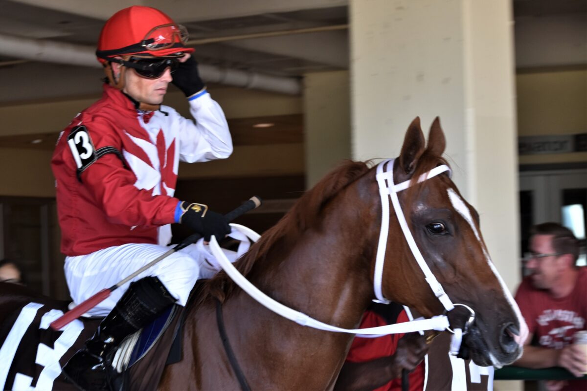 Justin Stein - Jockeys Canada