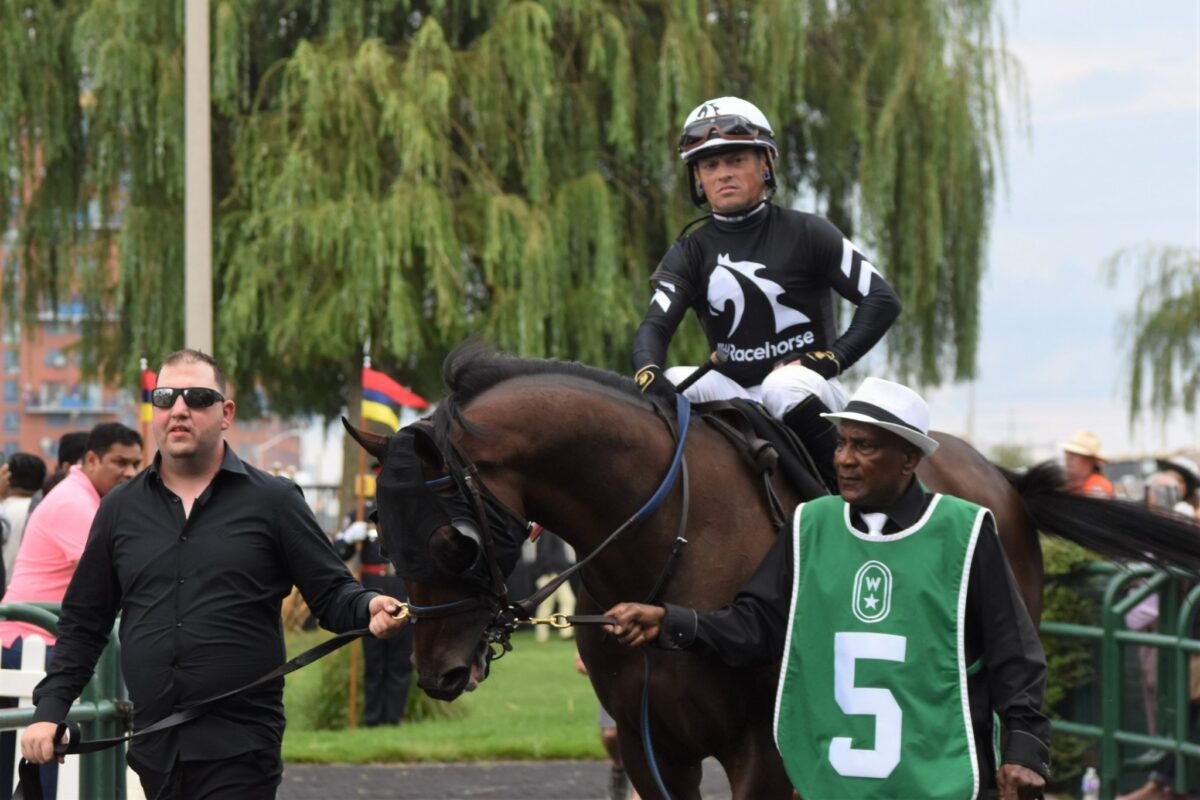 Justin Stein - Jockeys Canada
