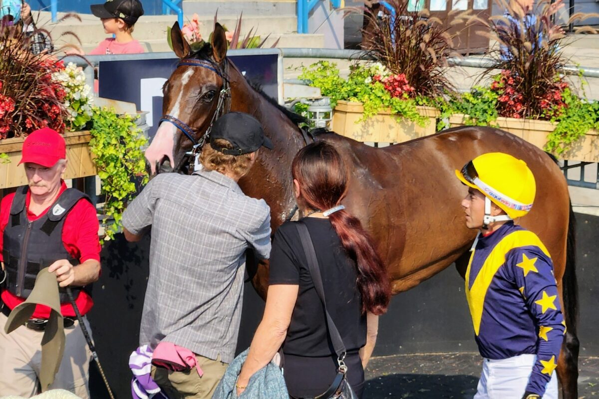 Luis Contreras - Jockeys Canada