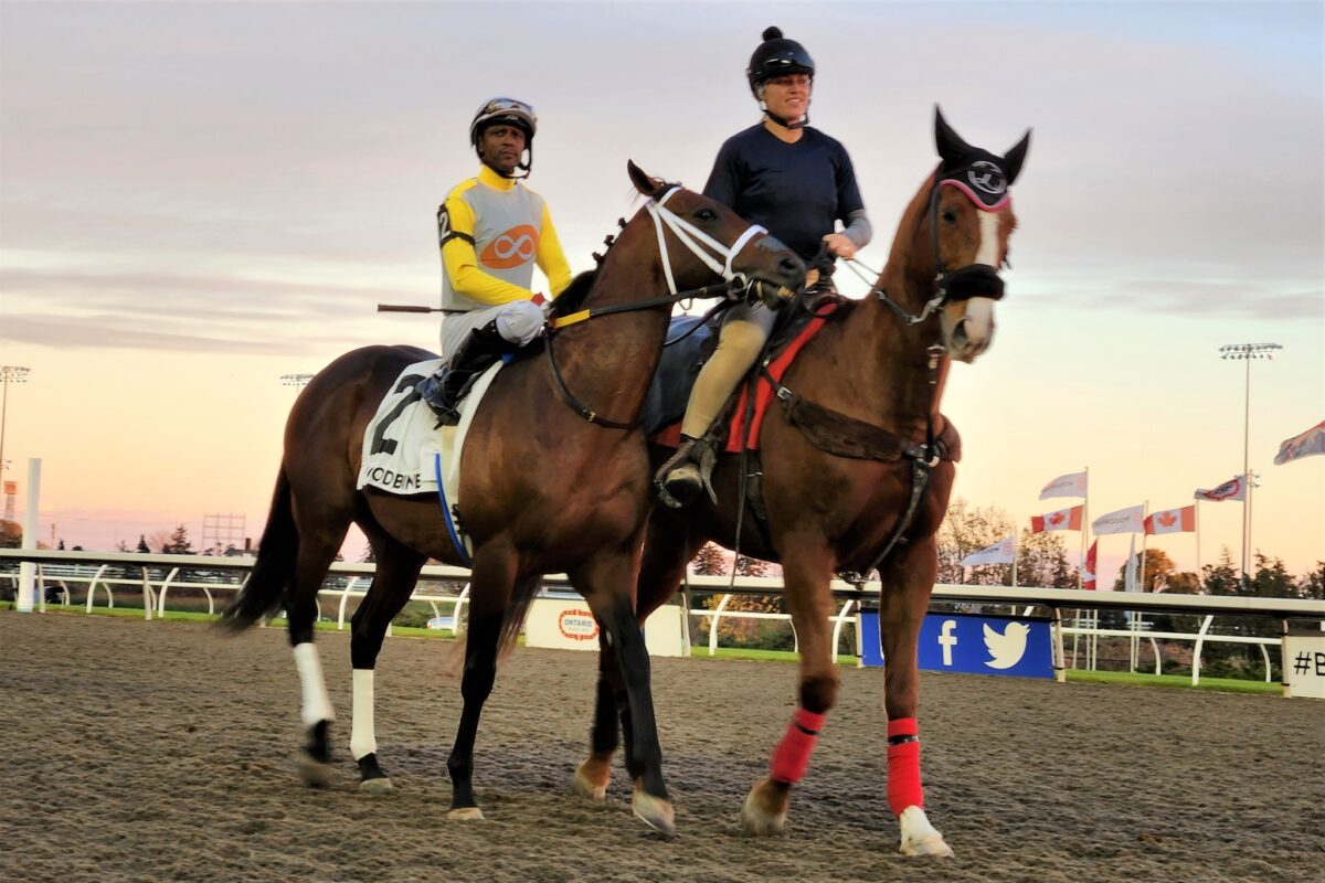 Patrick Husbands - Jockeys Canada