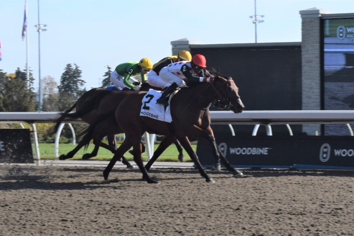 Patrick Husbands - Jockeys Canada