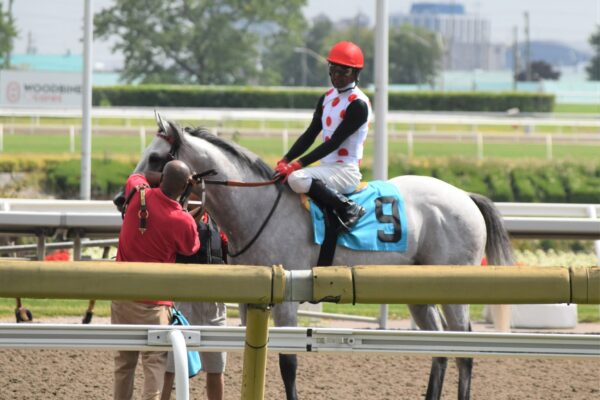 Patrick Husbands - Jockeys Canada
