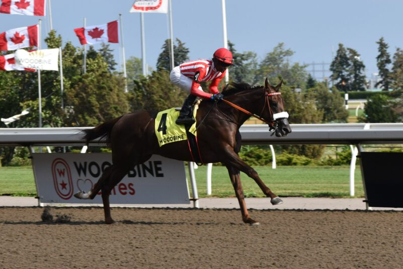 Patrick Husbands - Jockeys Canada