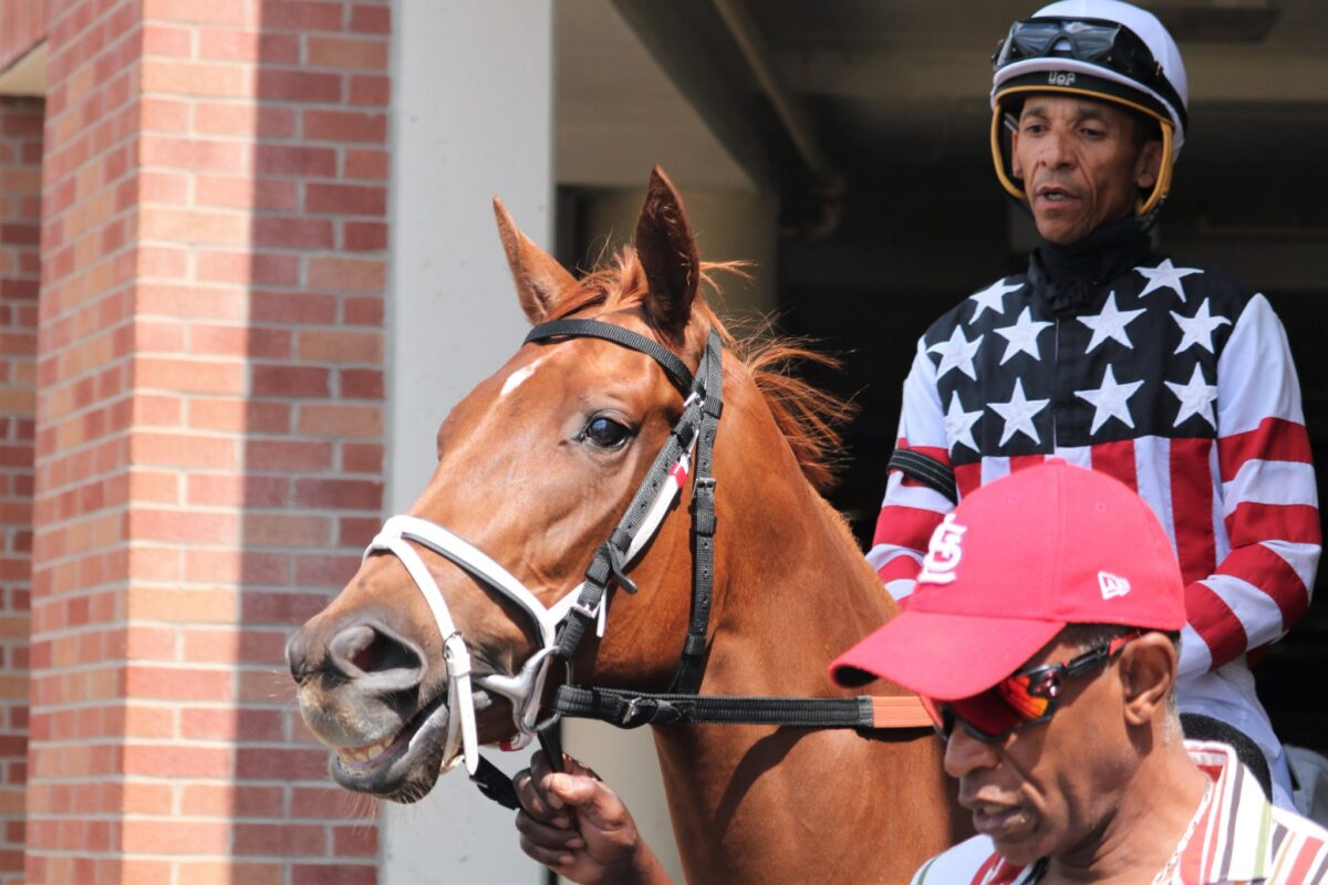 Simon Husbands - Jockeys Canada