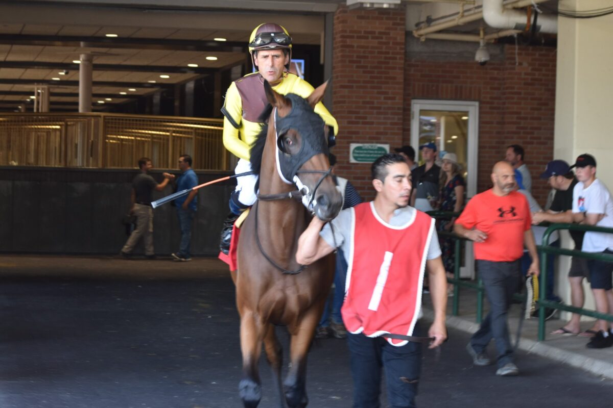 Steve Bahen - Jockeys Canada