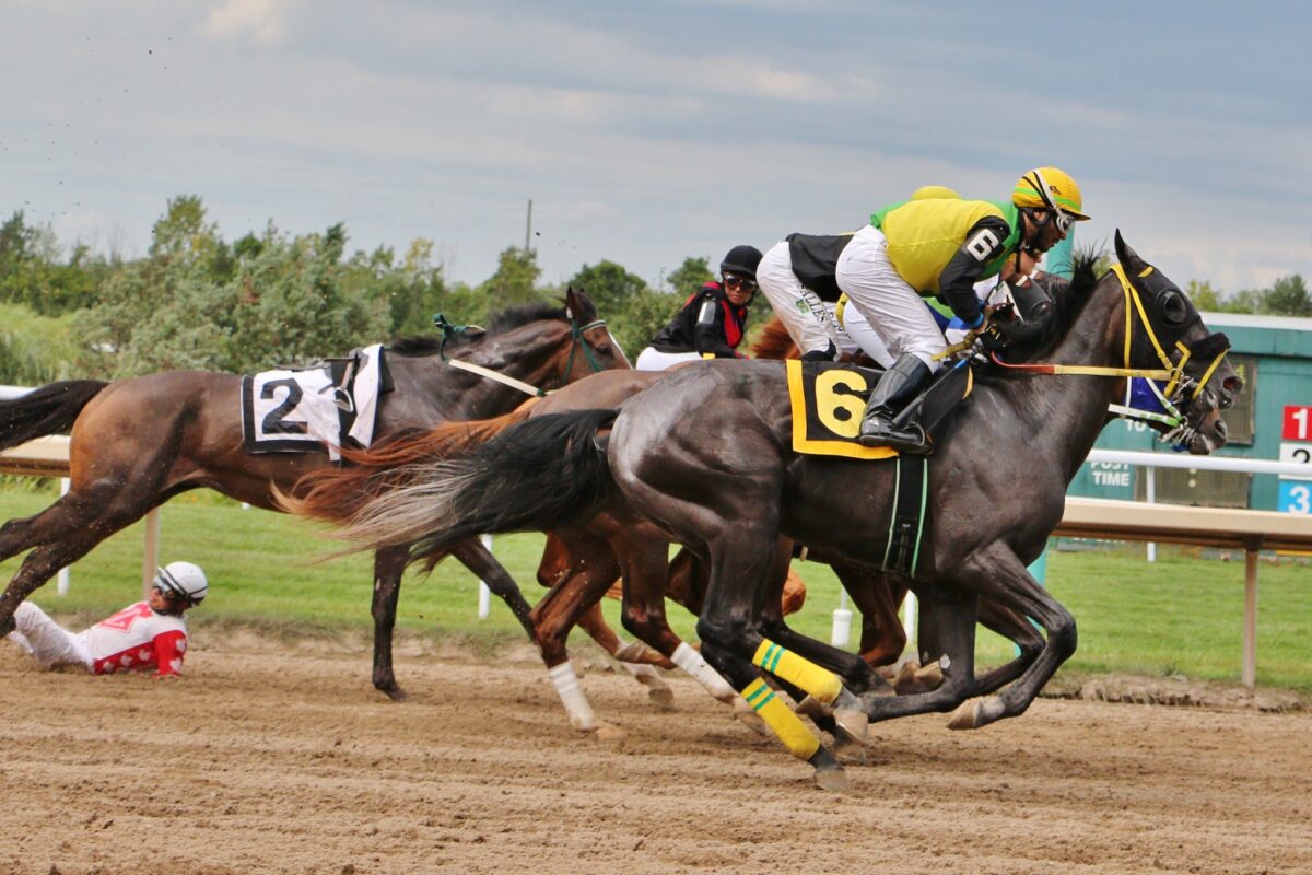 Omar Moreno - Jockeys Canada