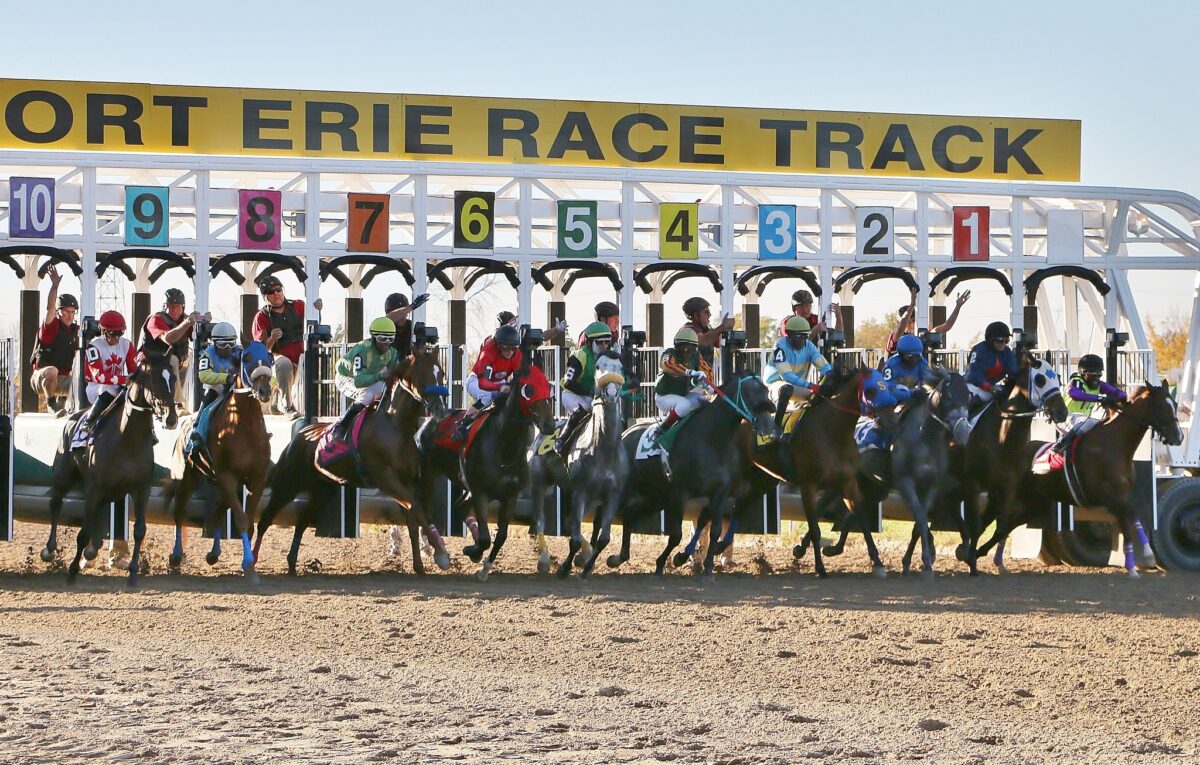 Mary Jane Sibbitt - Jockeys Canada