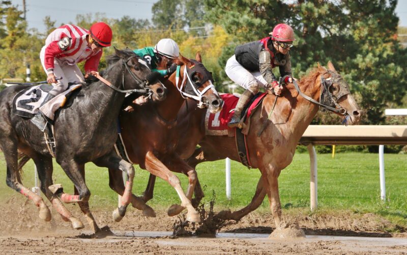 Christopher Husbands - Jockeys Canada