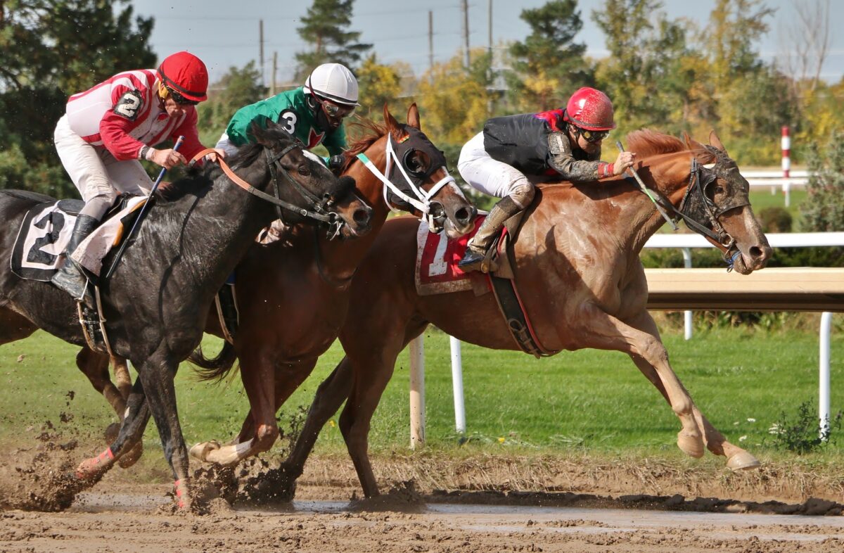 Christopher Husbands - Jockeys Canada