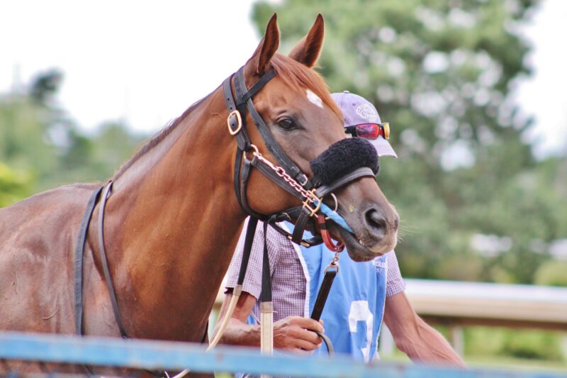 Fort Erie Racetrack Jockeys Canada