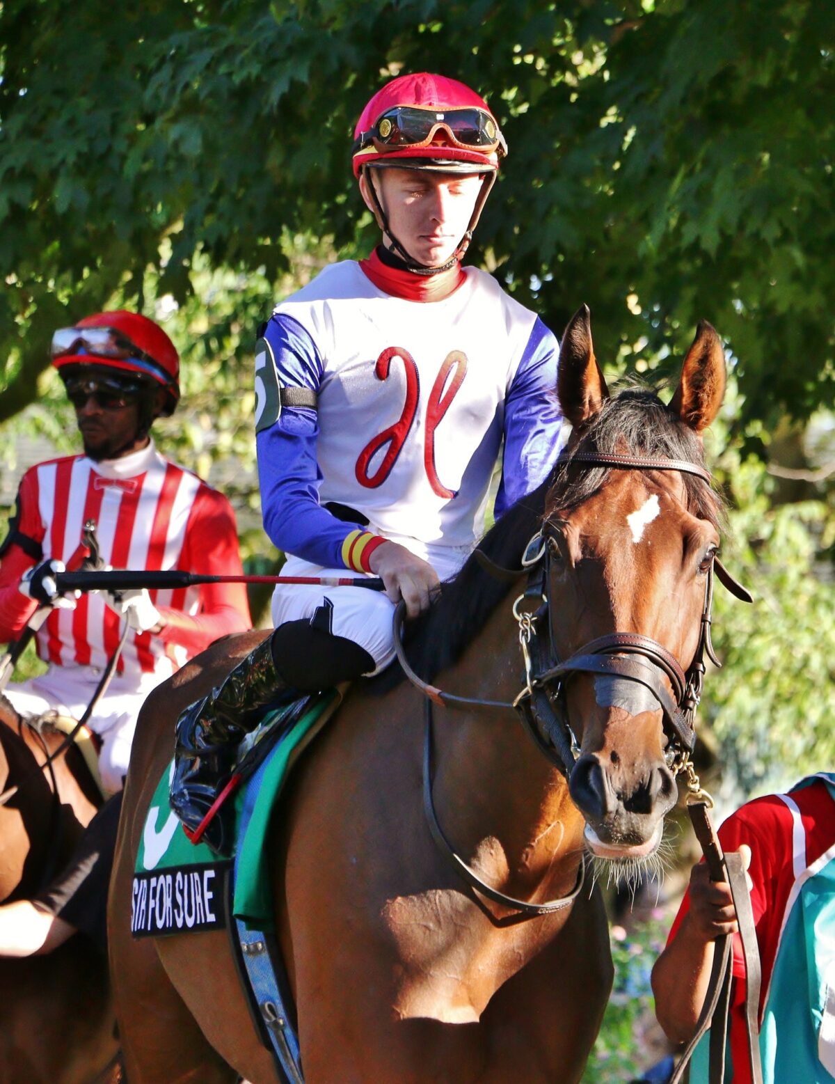 Declan Carroll - Jockeys Canada