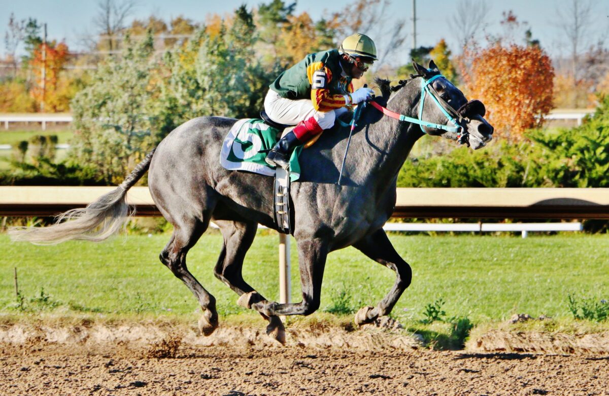 Emile Ramsammy - Jockeys Canada