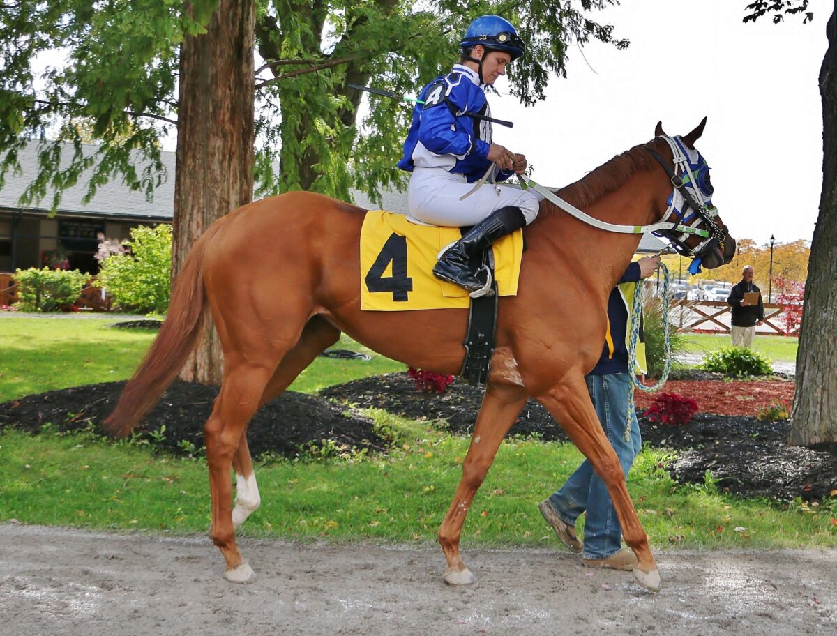 Helen Vanek - Jockeys Canada