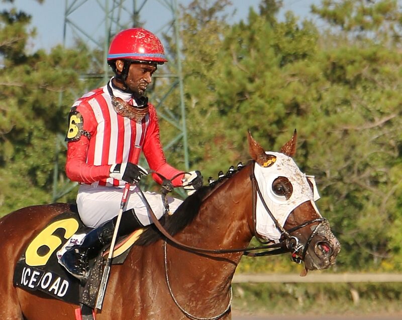 Jason Hoyte - Jockeys Canada