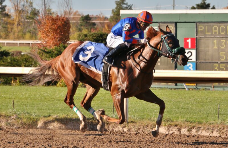 Jose Campos - Jockeys Canada