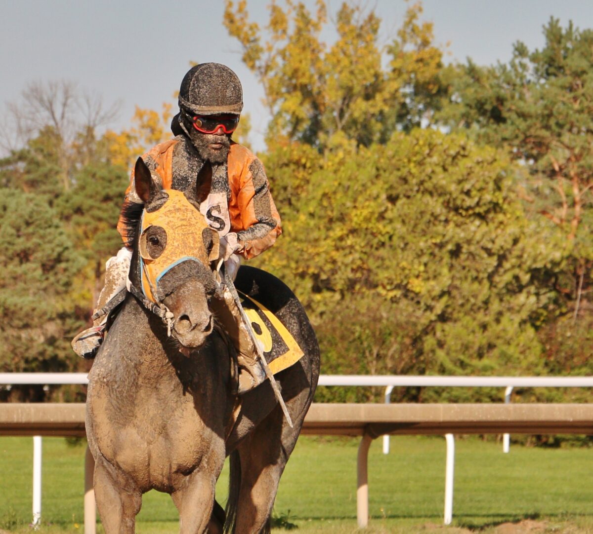 Juan Crawford - Jockeys Canada