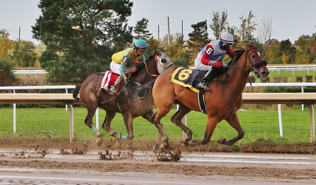 Kirk Johnson - Jockeys Canada