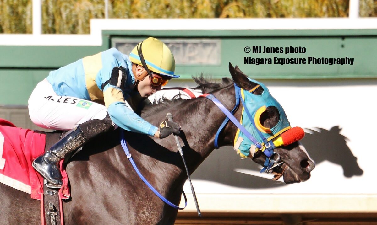 Mary Jane Sibbitt - Jockeys Canada