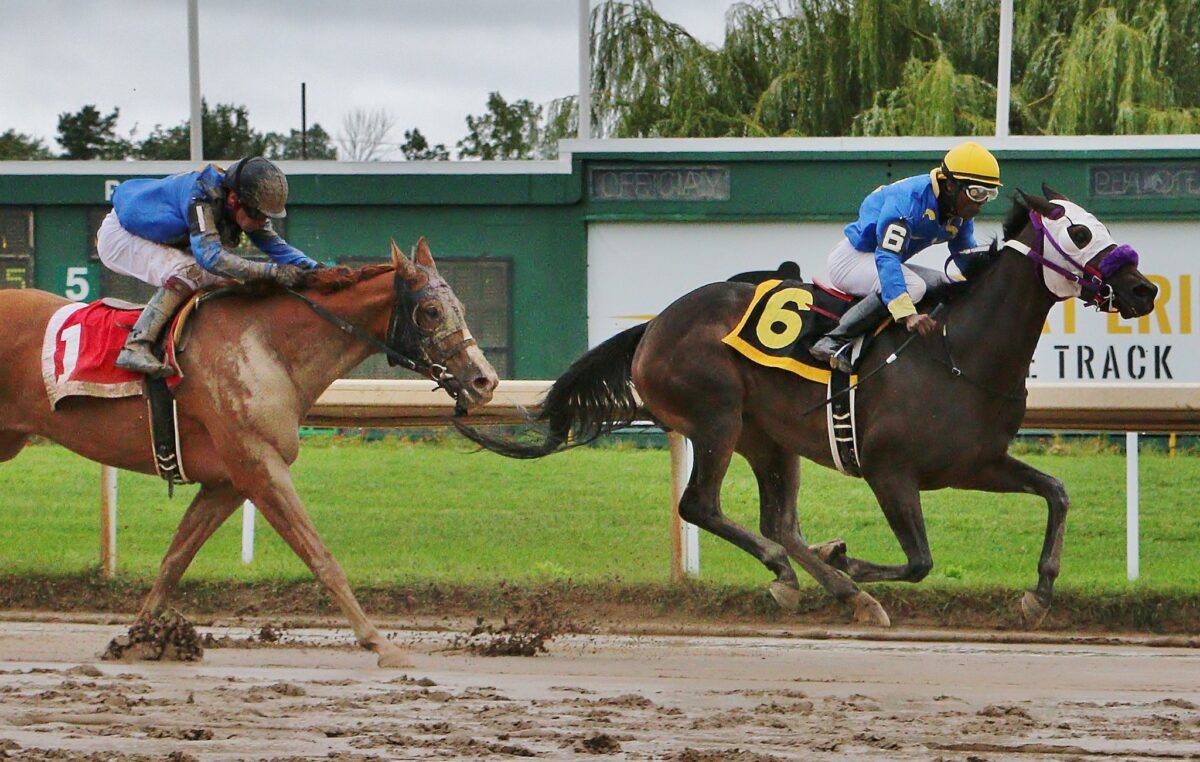 MarkLee Buchanan - Jockeys Canada