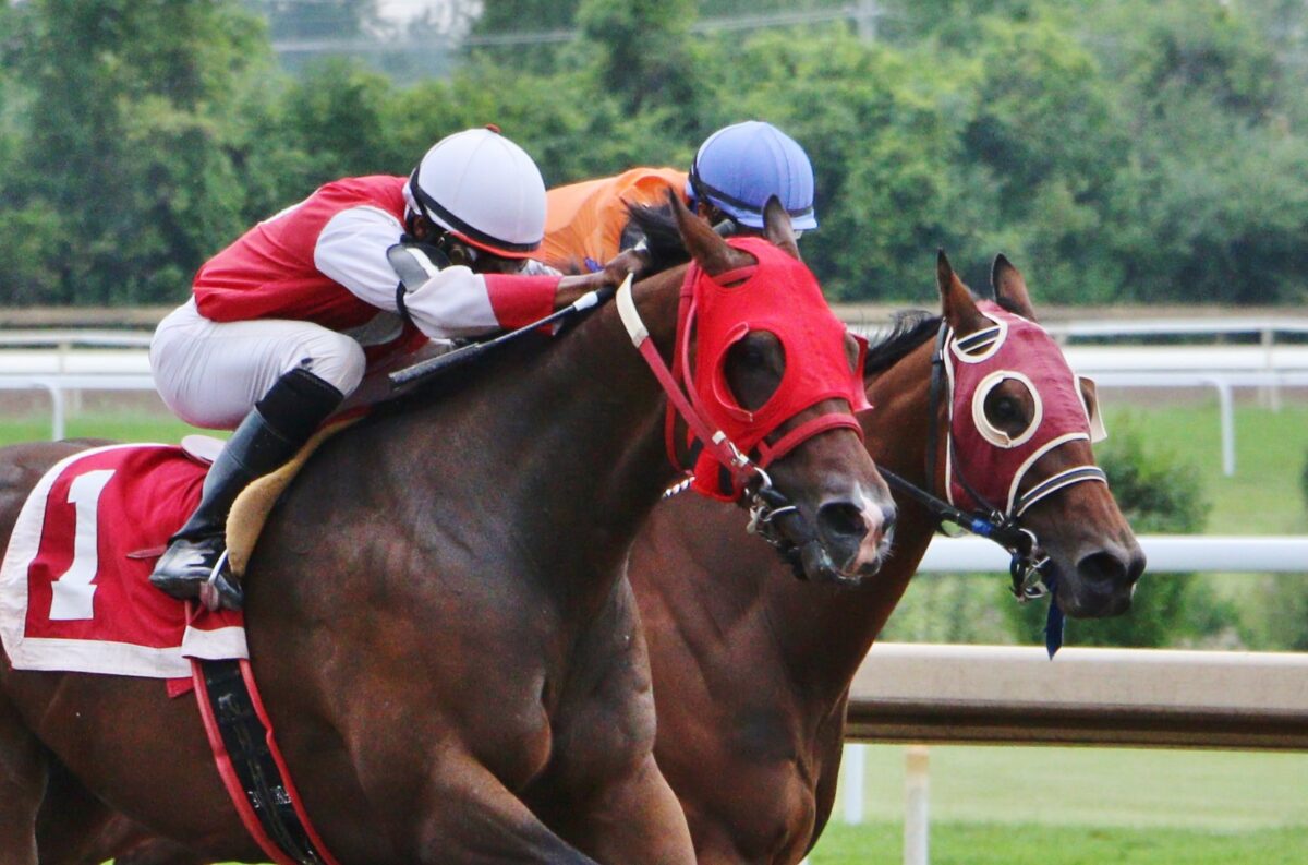 Mary Jane Sibbitt - Jockeys Canada