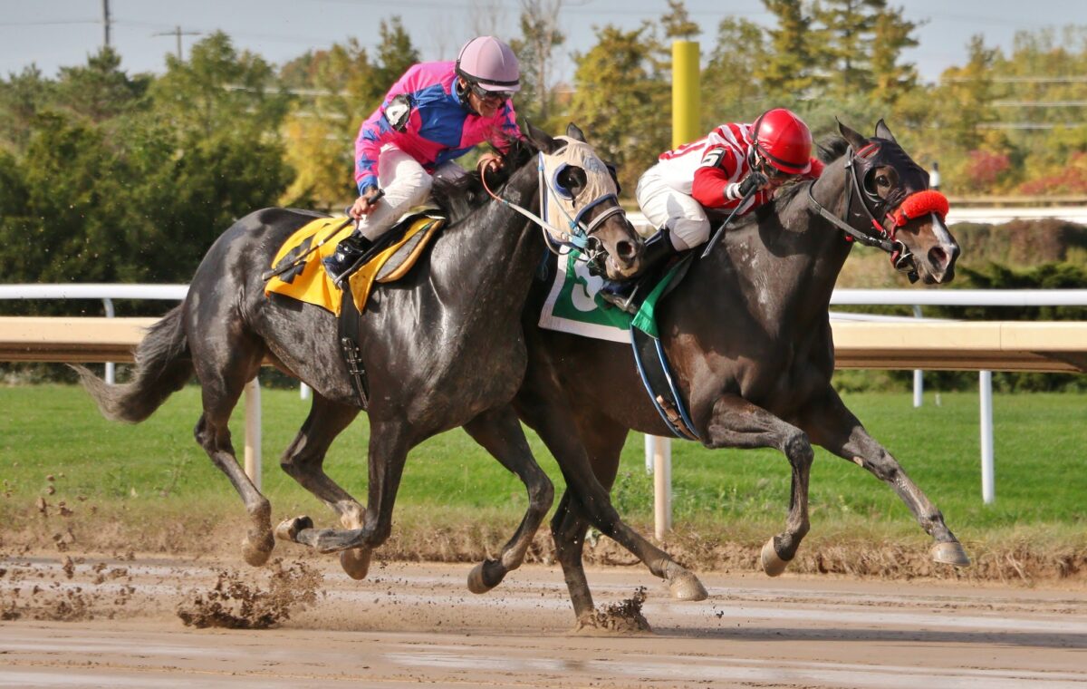 Melanie Pinto - Jockeys Canada