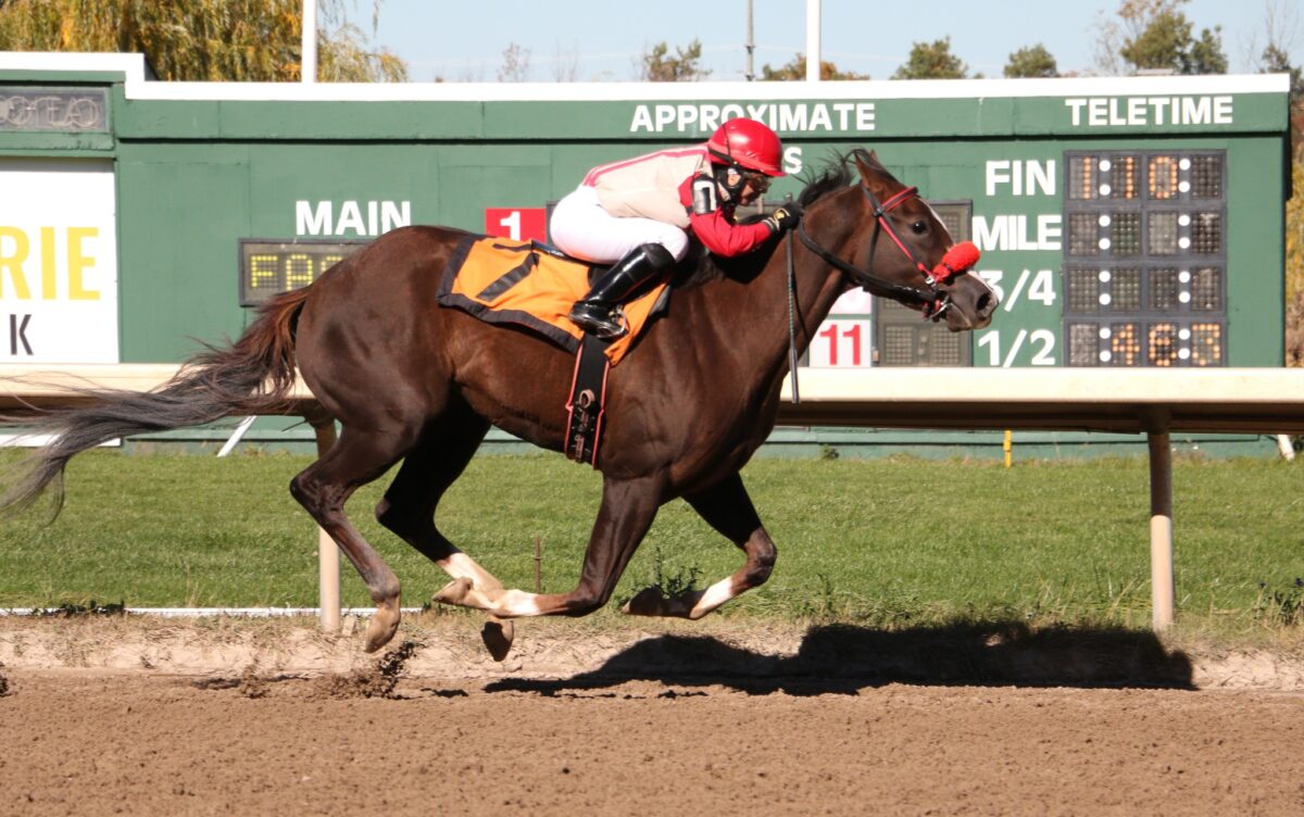 Melanie Pinto - Jockeys Canada