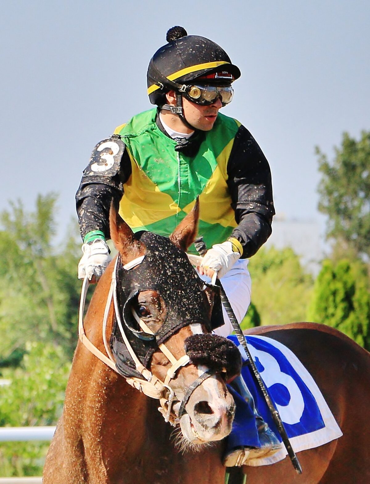 Mary Jane Sibbitt - Jockeys Canada