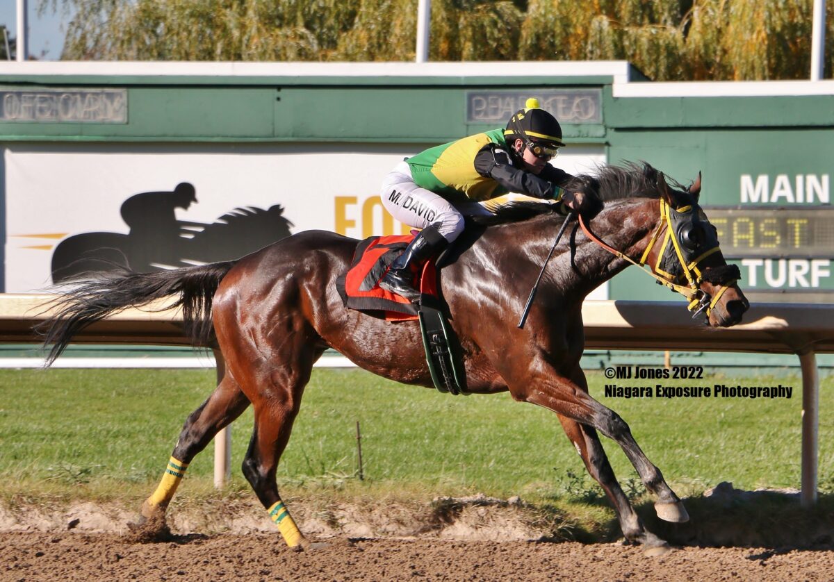 Michael David - Jockeys Canada