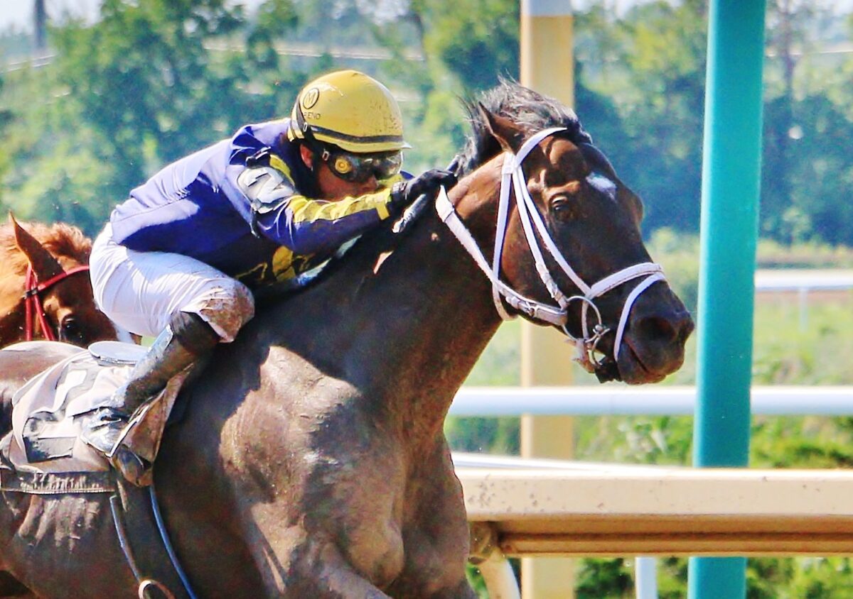 Mary Jane Sibbitt - Jockeys Canada