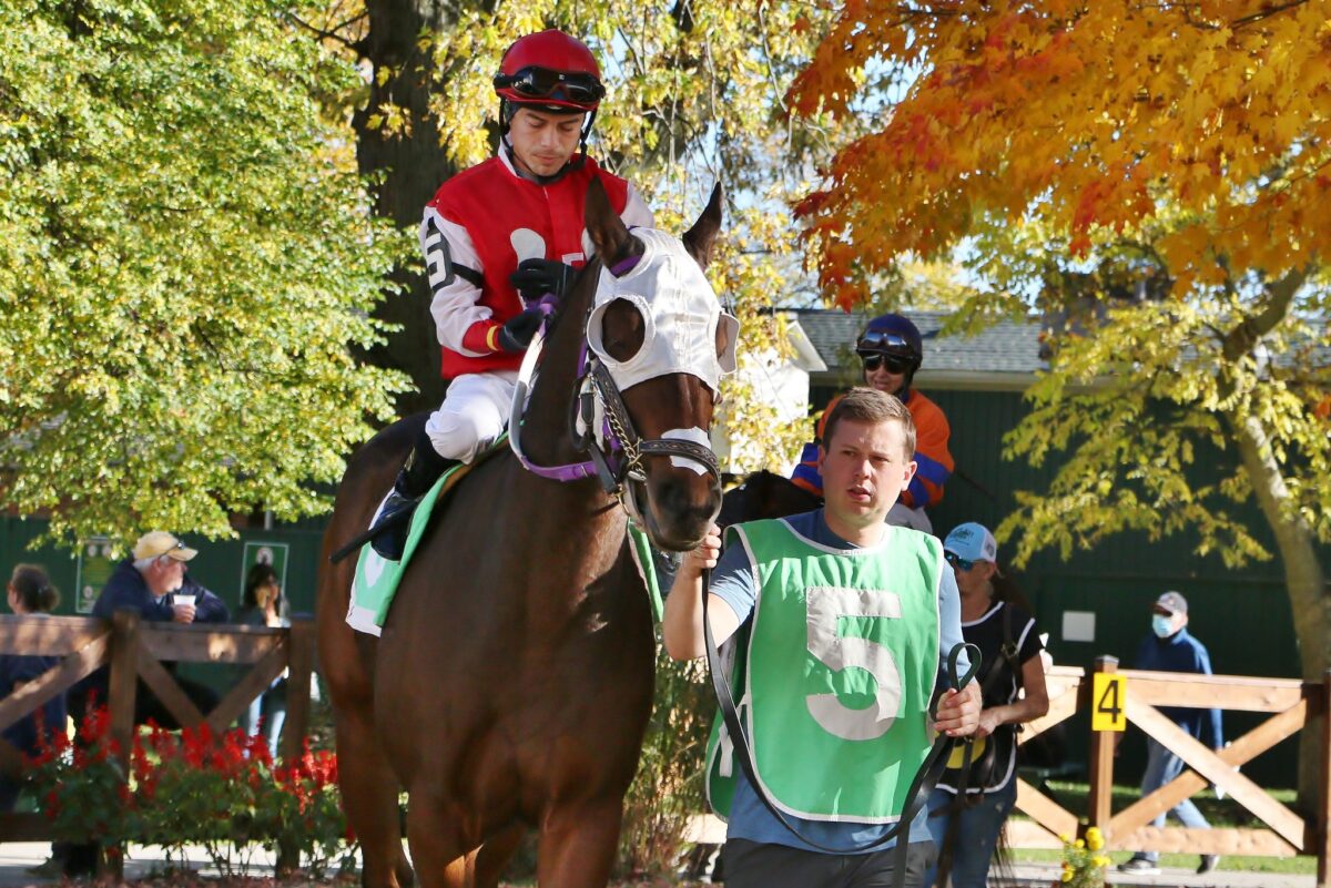 Omar Moreno - Jockeys Canada