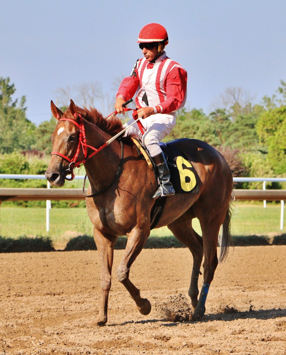 Pierre Mailhot - Jockeys Canada