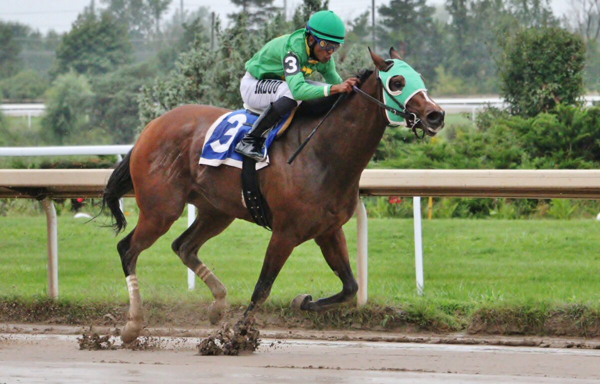 Steve Jadoo - Jockeys Canada