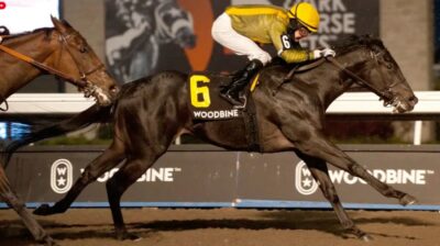 David Moran - Jockeys Canada