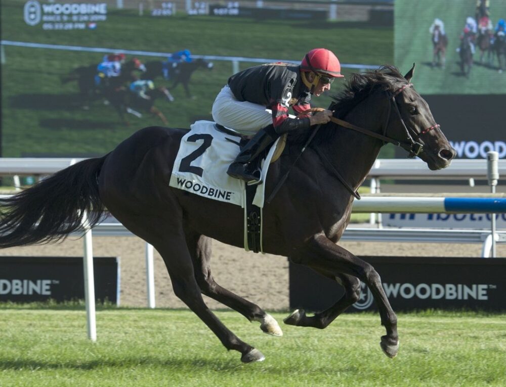 Paul Souter - Jockeys Canada