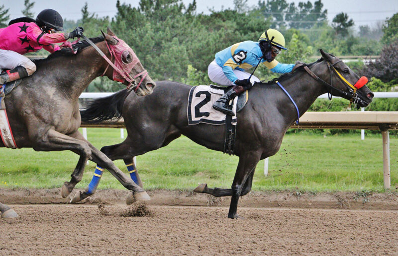Christopher Husbands - Jockeys Canada