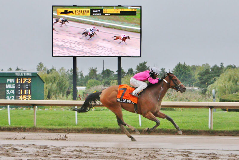 Christopher Husbands - Jockeys Canada