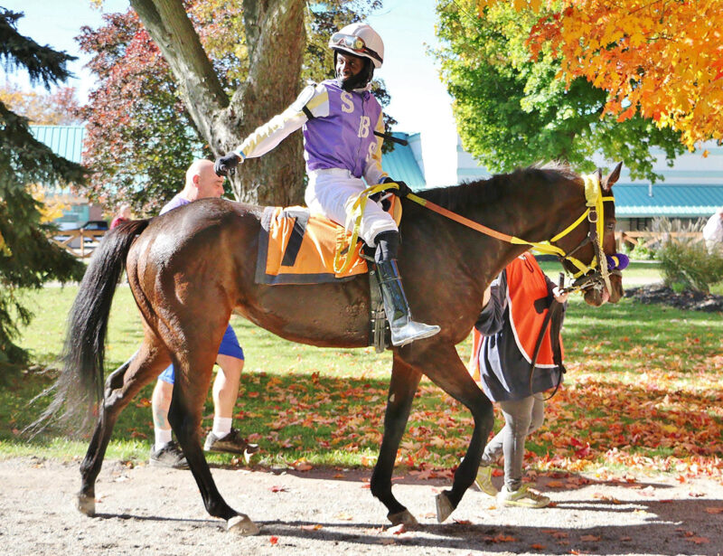 Christopher Husbands - Jockeys Canada